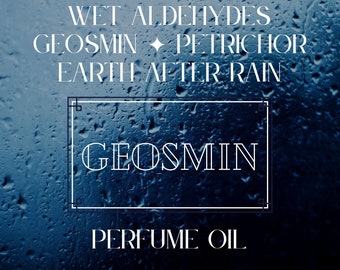 Petrichor Perfume - Etsy