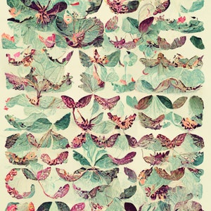 Vintage Emerald Fairy Digital Background Paper / Abstract / Junk ...