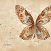 Vintage Butterflies Digital Background Paper Autumnal Colour Scheme ...