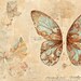 Vintage Butterflies Digital Background Paper Autumnal Colour Scheme ...