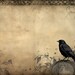 Gothic Birds Digital Background Paper Dark Background / Junk - Etsy