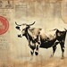 Vintage Cow - Cow Spots - Cow Hide Digital Background Paper / Junk ...