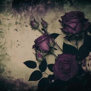 A4 Vintage Gothic Roses Digital Background Paper / Junk Journal ...