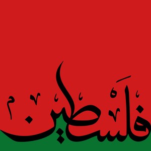Palestine Support Digital Poster, Gaza Support, Palestine in Need, Gaza ...