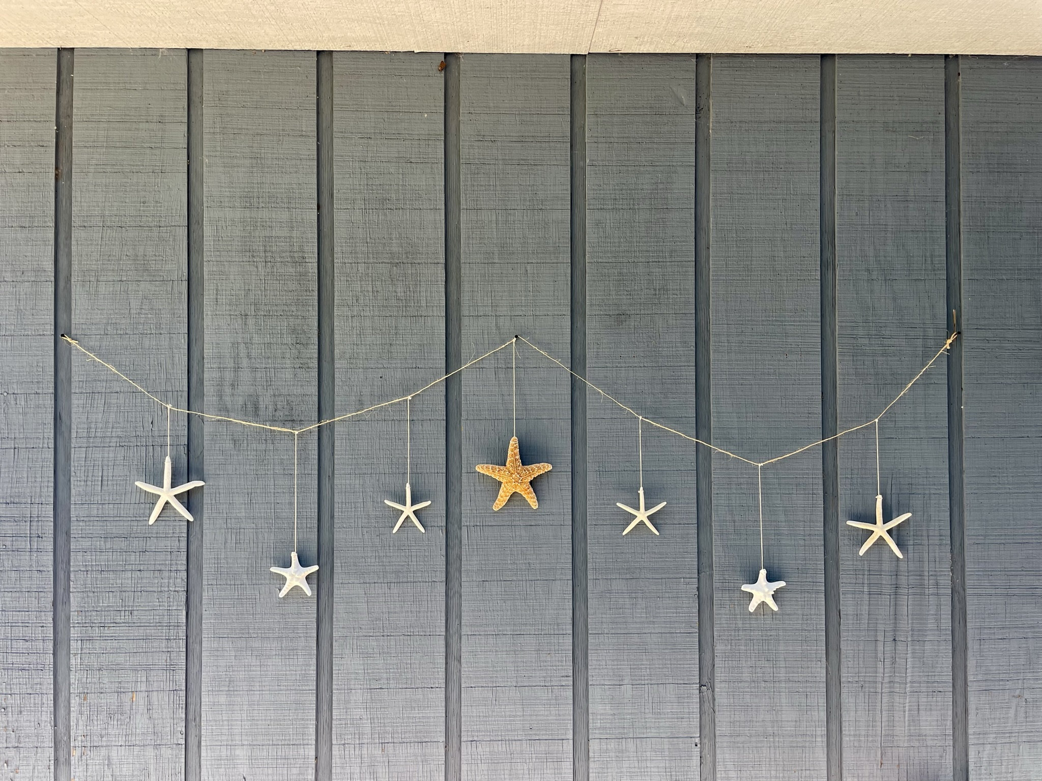 Star Fish Wall Deco 8' With 7 Star Fish - Etsy