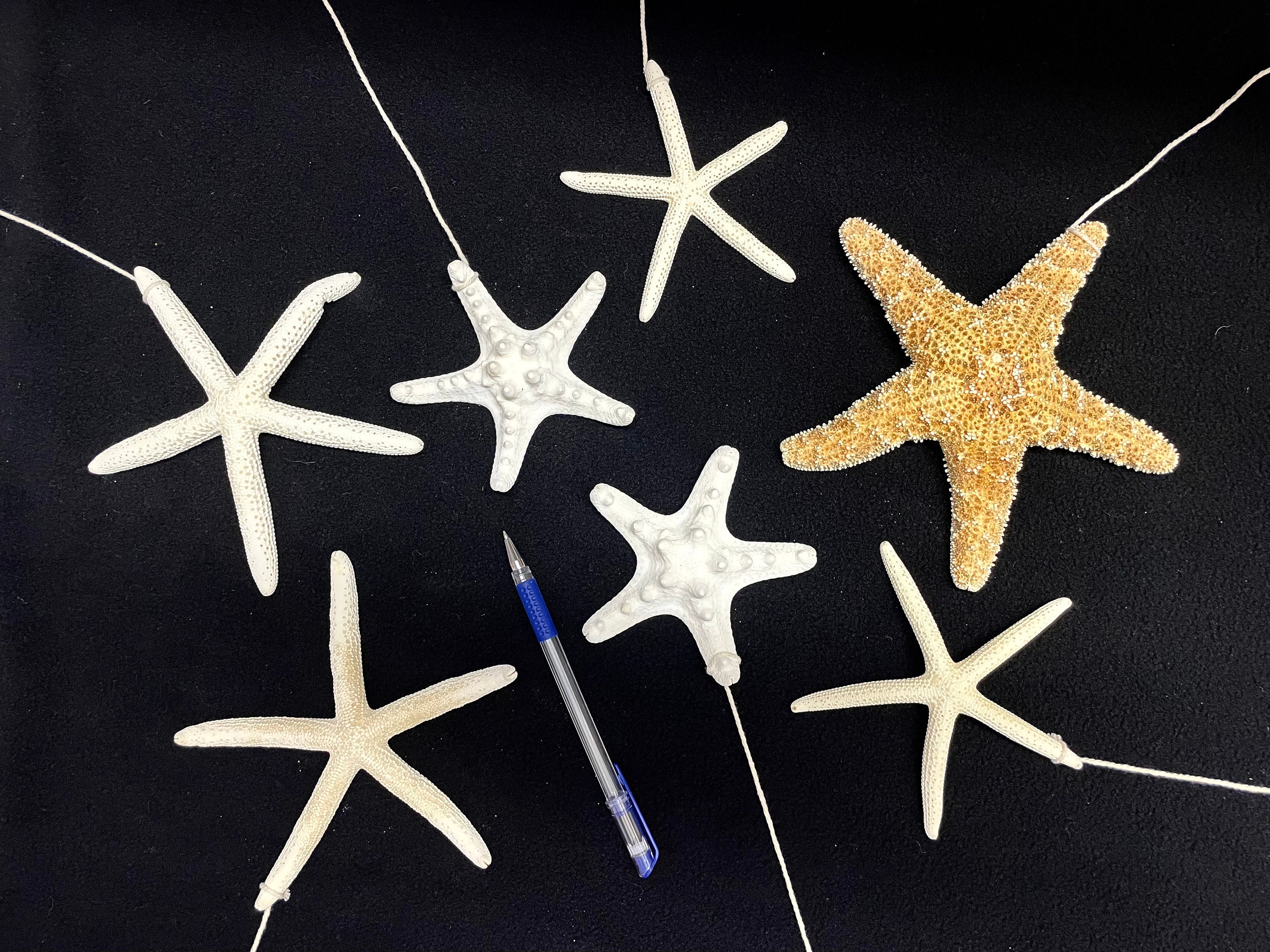 Star Fish Wall Deco 8' With 7 Star Fish - Etsy
