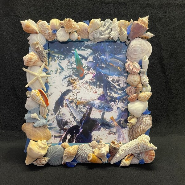 Sea Shell Photo - Etsy