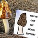 Mush Thanks Greeting Card, Thank You Card, Mushroom Card, Thank You ...