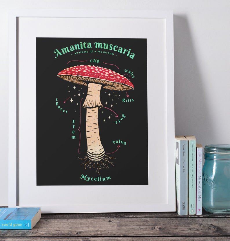 Amanita Mushroom Art Print, Amanita Anatomy Poster Print, Mushroom Wall ...