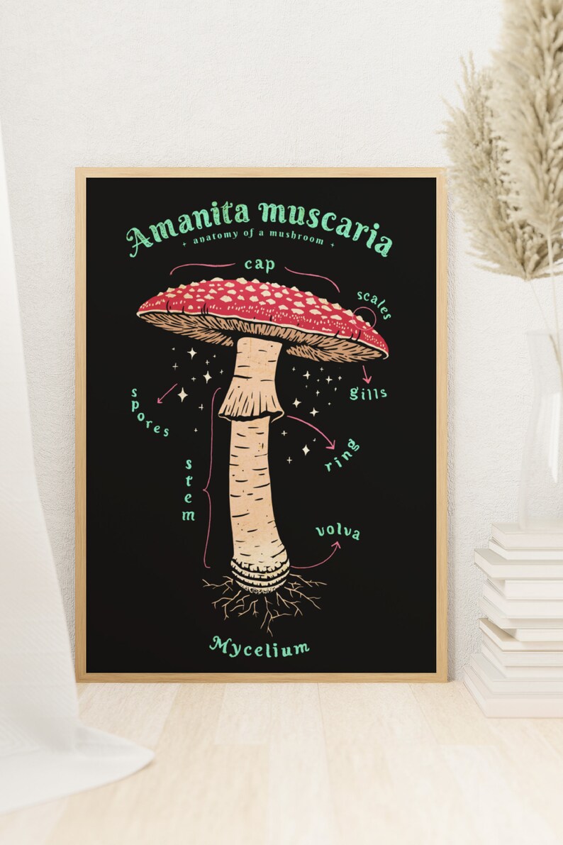 Amanita Mushroom Art Print, Amanita Anatomy Poster Print, Mushroom Wall ...