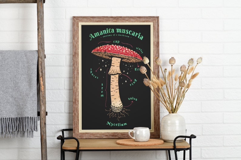 Amanita Mushroom Art Print, Amanita Anatomy Poster Print, Mushroom Wall ...