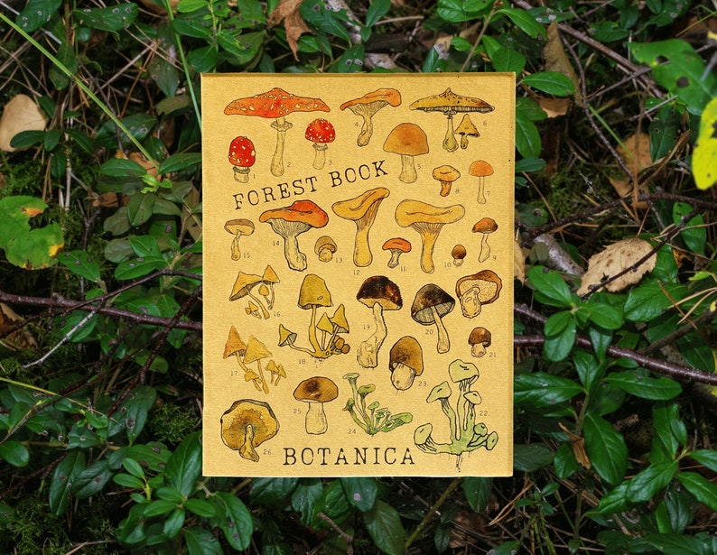 Pocket-size Mushroom Journal, Foraging Mushrooms Nature Journal ...