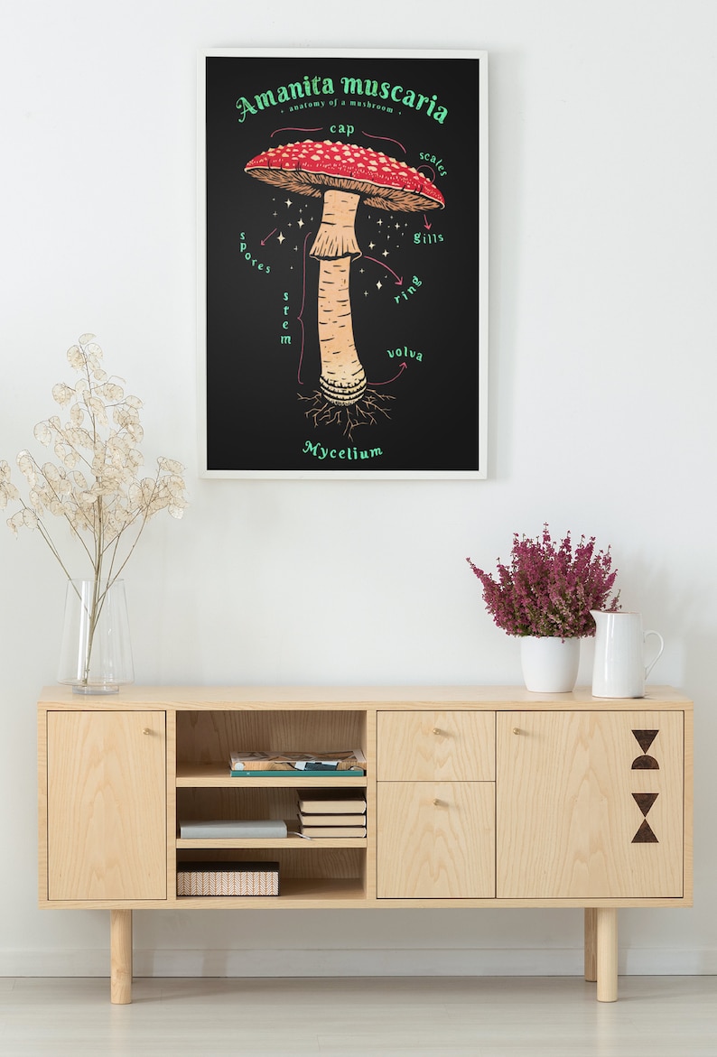 Amanita Mushroom Art Print, Amanita Anatomy Poster Print, Mushroom Wall ...