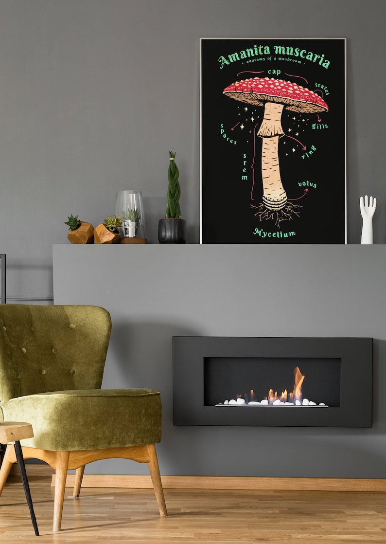 Amanita Mushroom Art Print, Amanita Anatomy Poster Print, Mushroom Wall ...