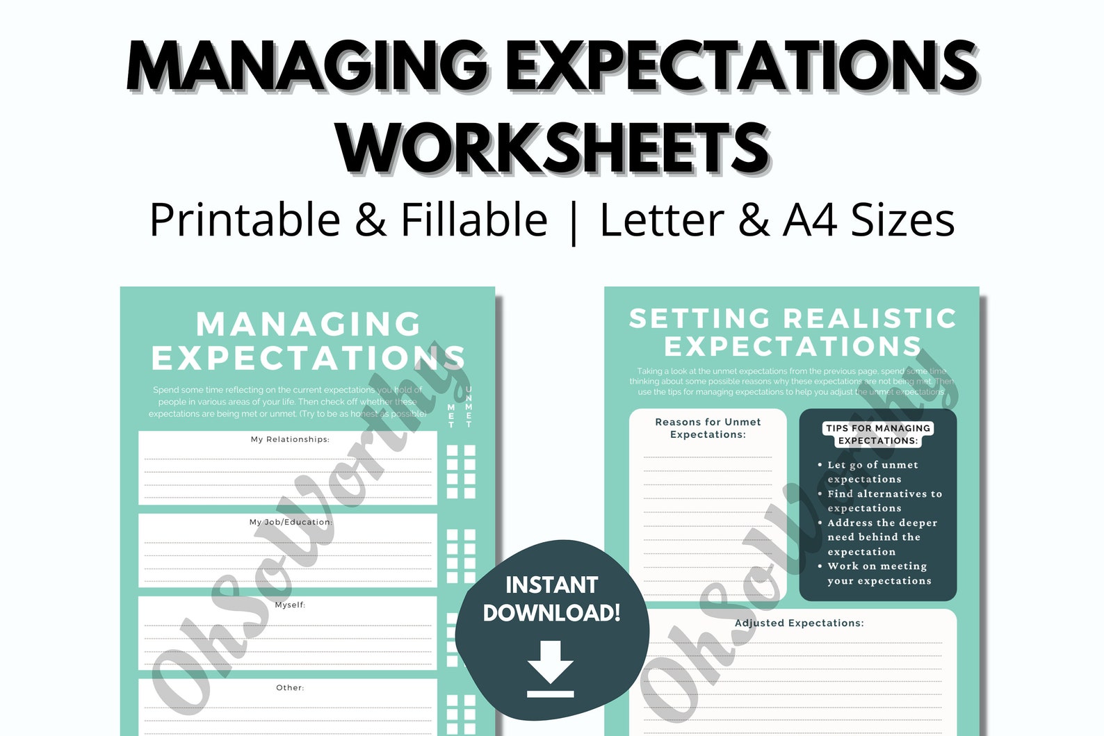 Managing Expectations Worksheets Setting Expectations - Etsy