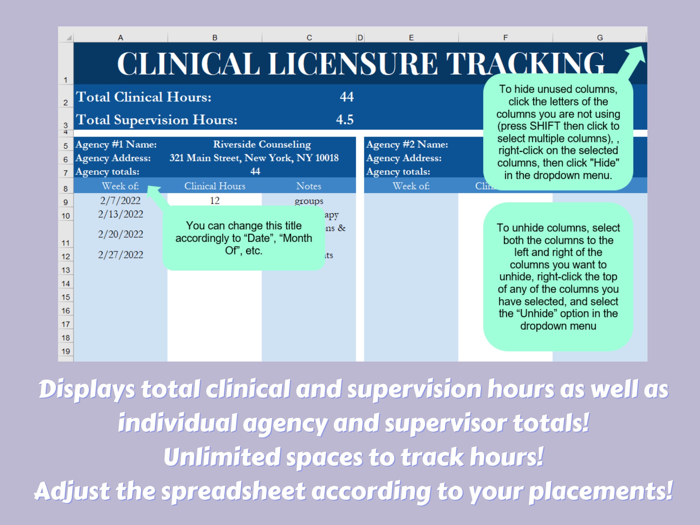 Clinical Supervision and Licensing Hours Tracker | MICROSOFT EXCEL ...