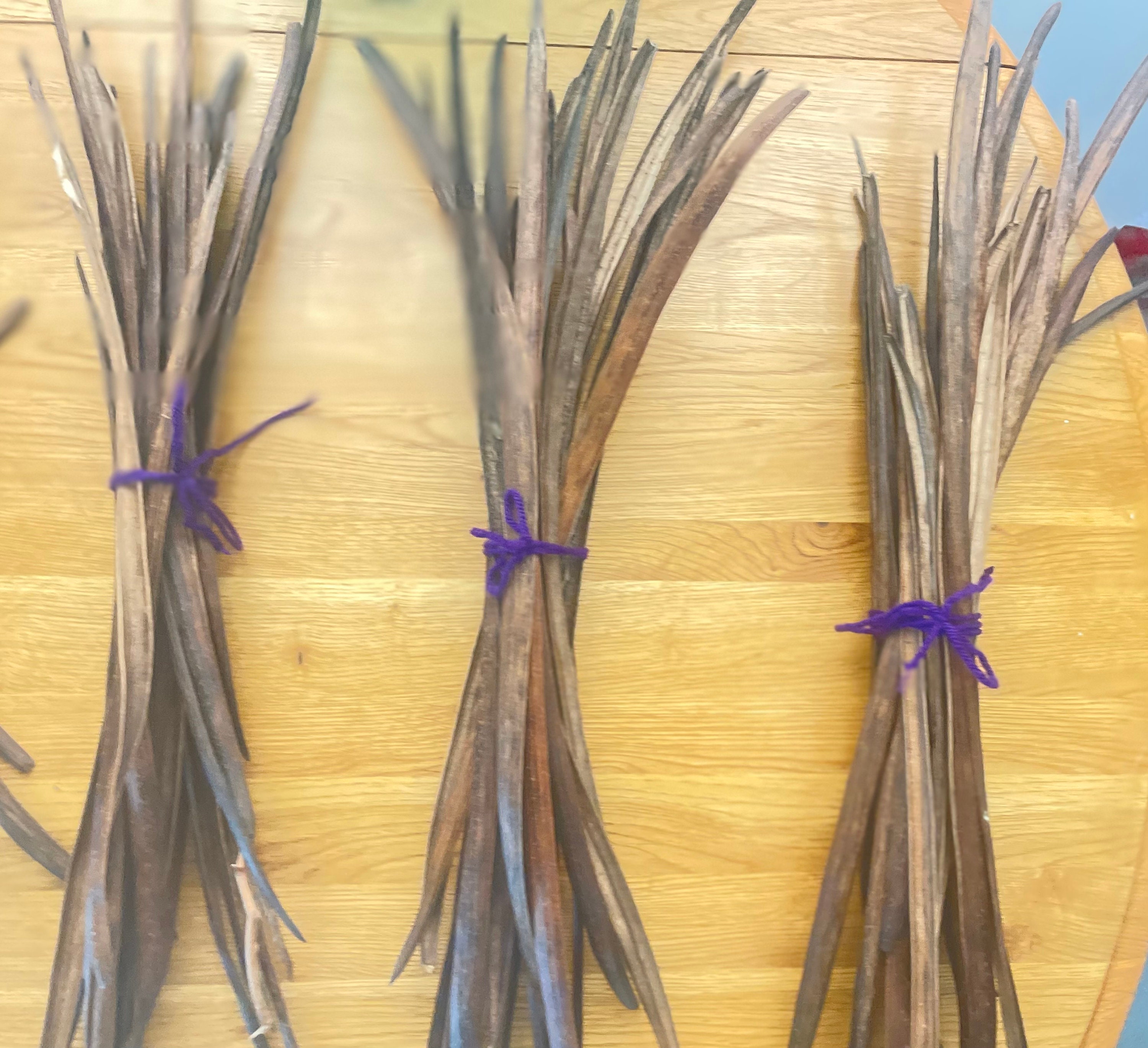 Catalpa Bean Pod Bundles - Etsy