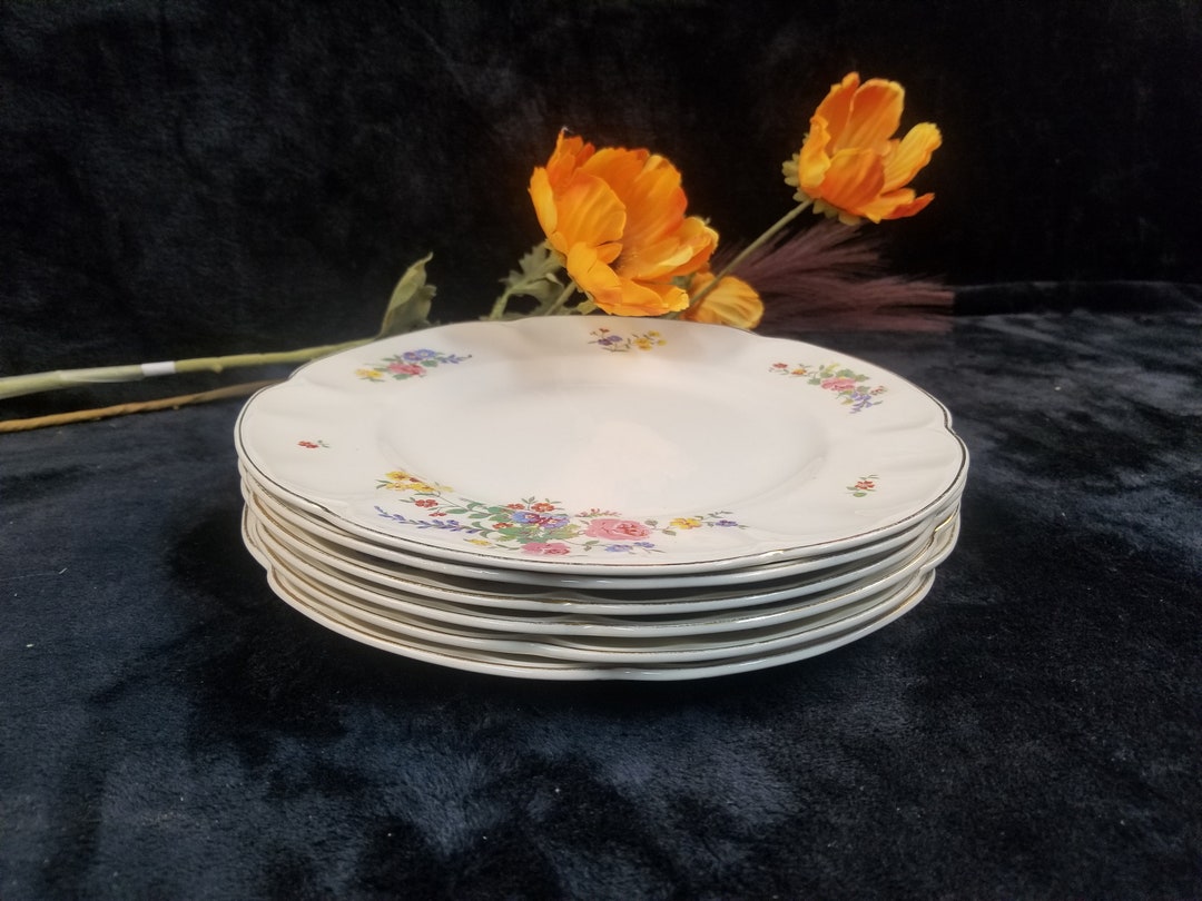Vintage Pareek Johnson Brothers Flowers Pattern Diner Plates Set of 6 ...