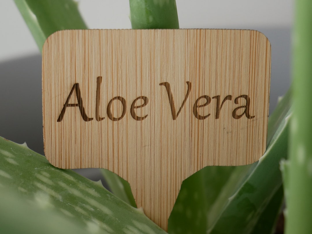 Engraved Bamboo Plant Label - Etsy