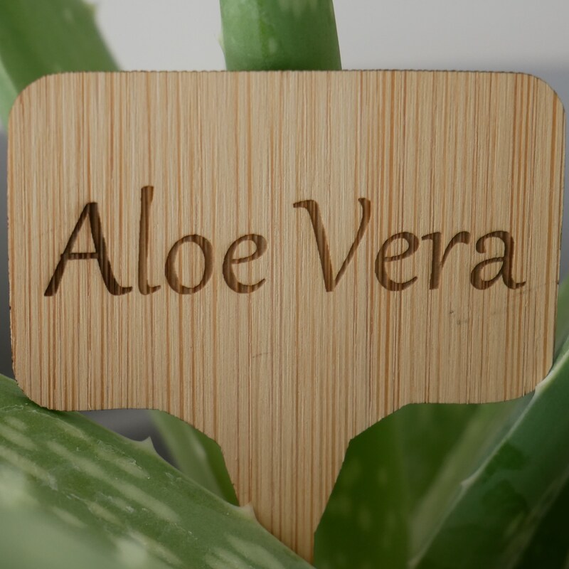 Plant Labels - Etsy