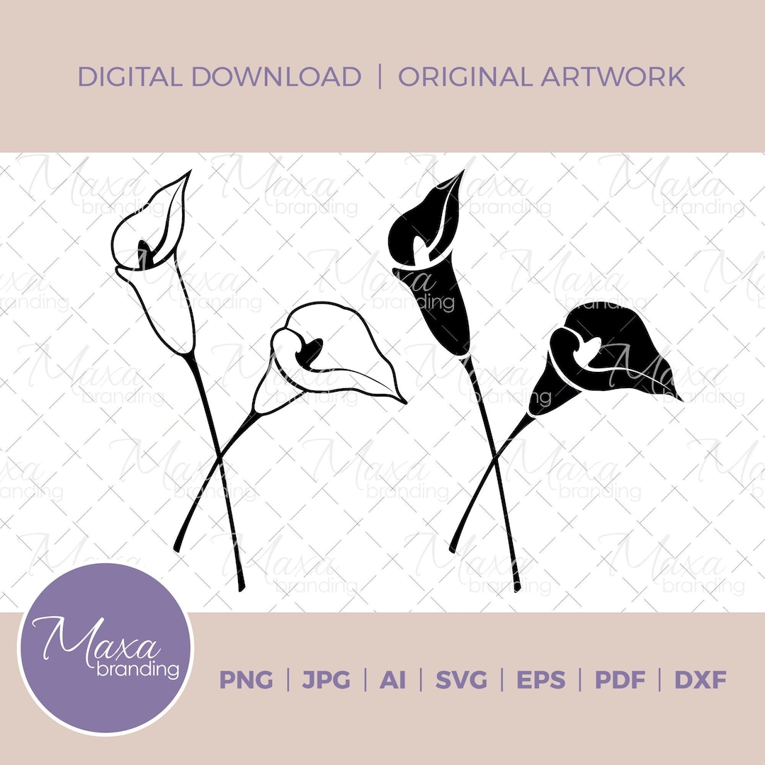 Calla Lily Clipart: Simple Flower Vector Graphics (digital Download) - Etsy