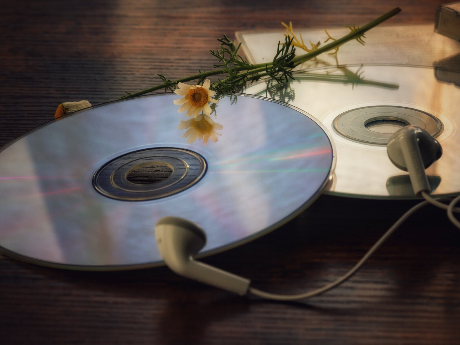 Custom CD Jewel Case Custom With Pics & Songs Fast FREE - Etsy