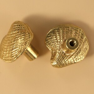 Brass Shell Drawer Pulls Knobs,sea Shell Cupboard Door Handles,solid Brass Cabinet Knobs ...