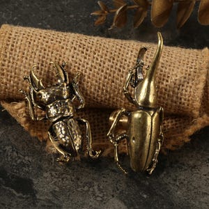 Insect Knobs Pulls Handles,antique Brass Cupboard Door Handles,custom ...