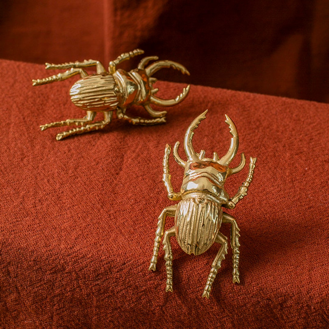 Brass Beetle Drawer Pulls Knobs, Insect Cupboard Door Handles, Bug ...