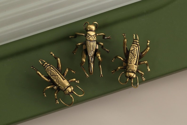 Insect Knobs Pulls Handles,grasshopper Cupboard Door Handles,custom Engraved Furniture Hardware ...