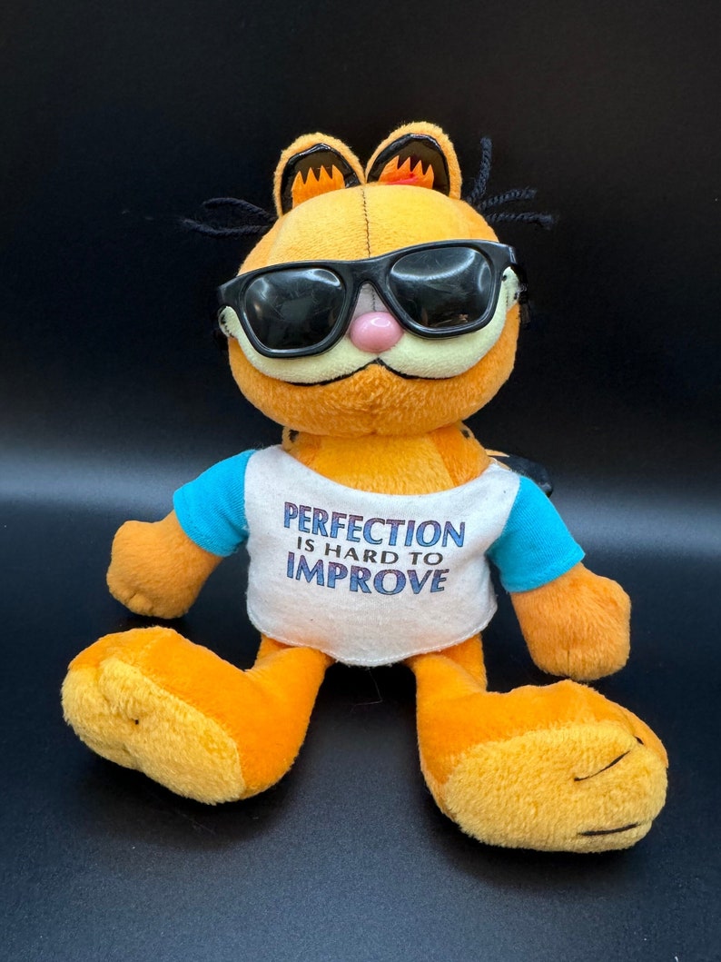 Garfield Beanie Baby by TY, 9 - Etsy
