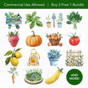 Garden Harvest PNG, Garden Vegetables and Fruits, Harvest Basket ...