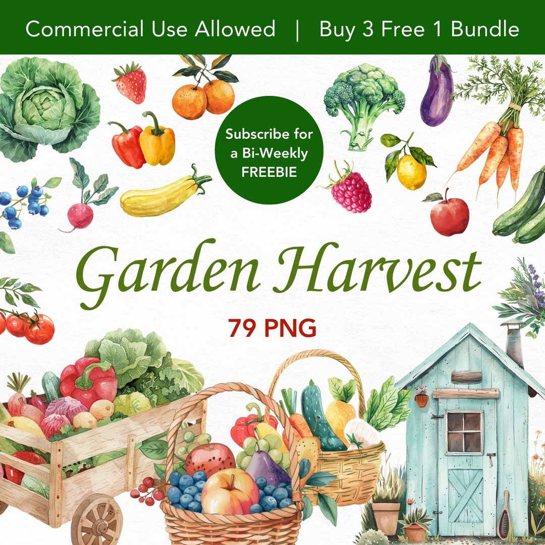 Garden Harvest PNG, Garden Vegetables and Fruits, Harvest Basket ...