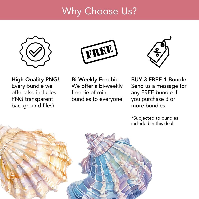 Seashells Clipart, Summer PNG, Summer Beach Clip Art, Sea Shell PNG ...