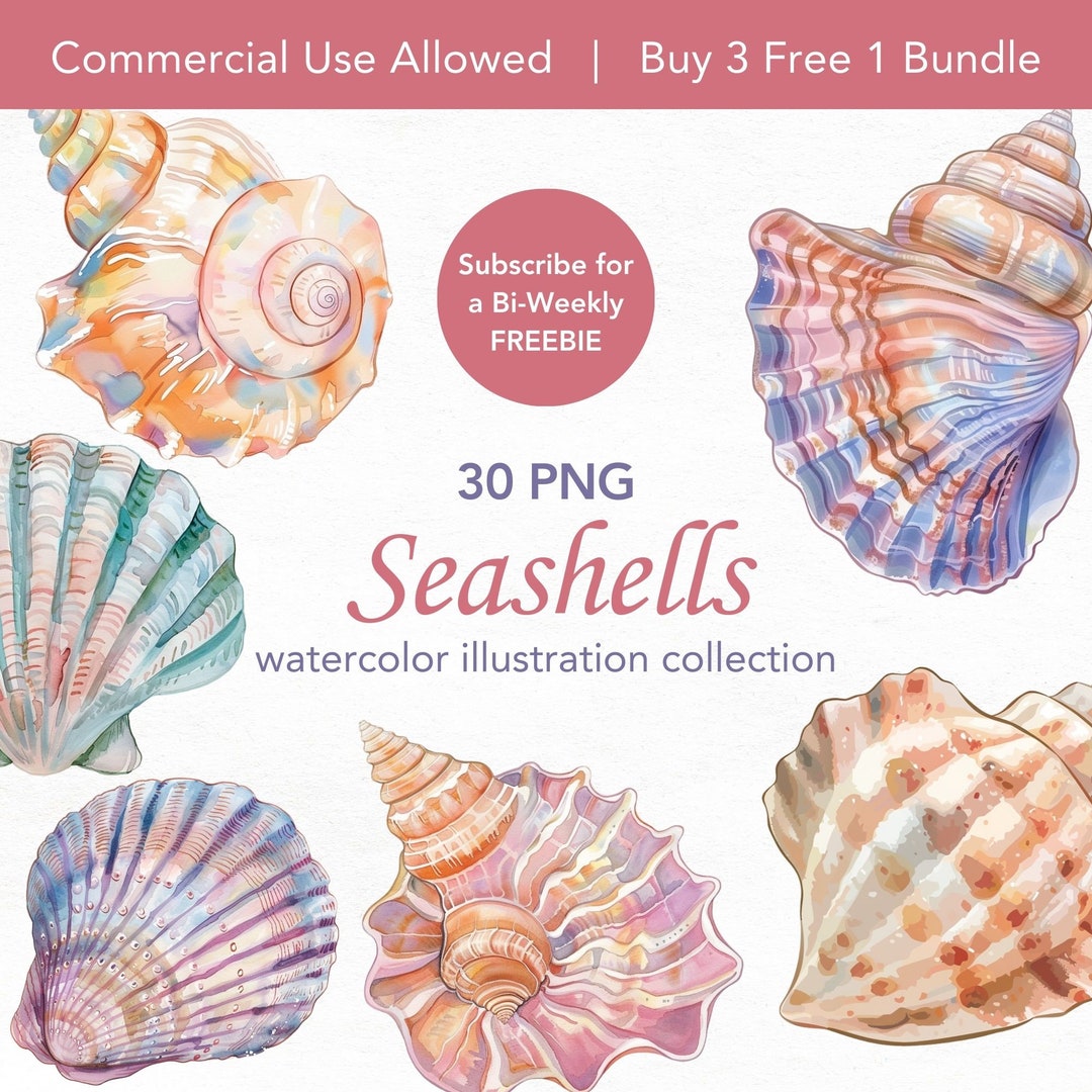 Seashells Clipart, Summer PNG, Summer Beach Clip Art, Sea Shell PNG ...