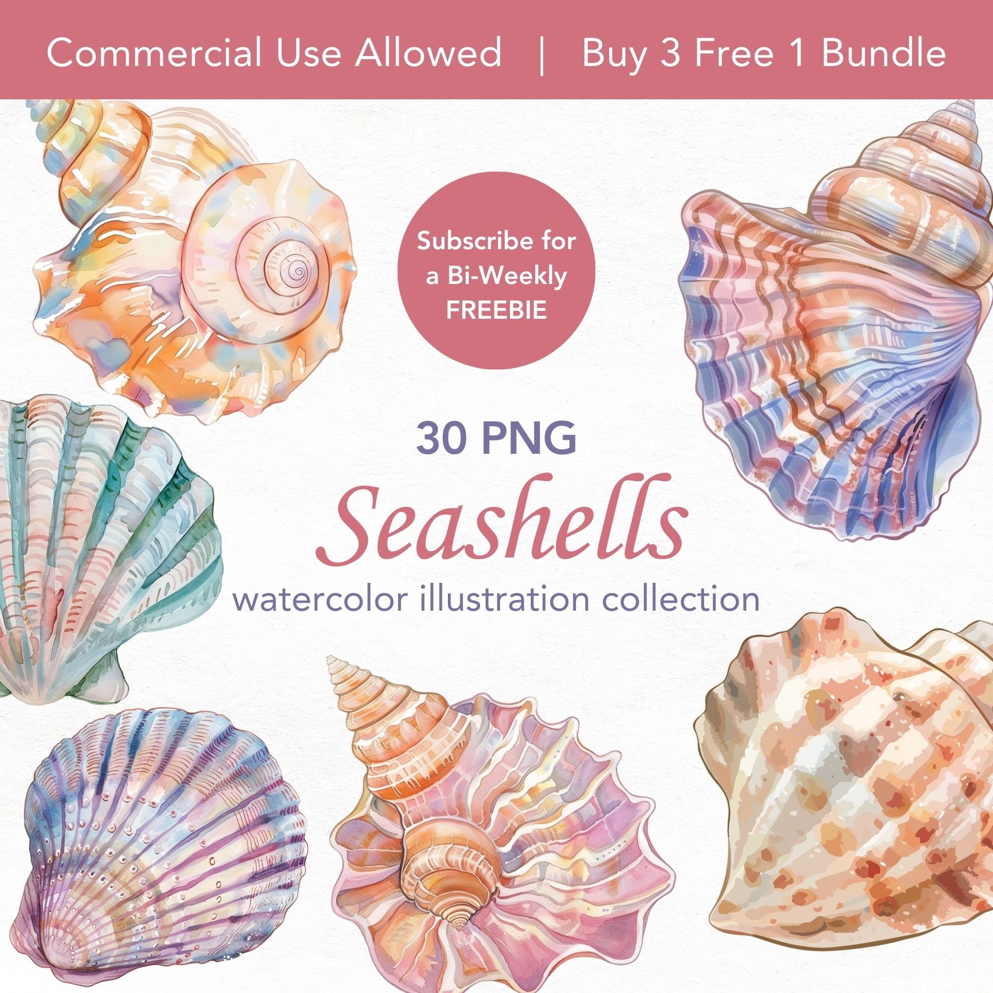 Seashells Clipart, Summer PNG, Summer Beach Clip Art, Sea Shell PNG ...