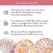 Seashells Clipart, Summer PNG, Summer Beach Clip Art, Sea Shell PNG ...
