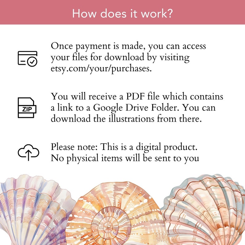 Seashells Clipart, Summer PNG, Summer Beach Clip Art, Sea Shell PNG ...