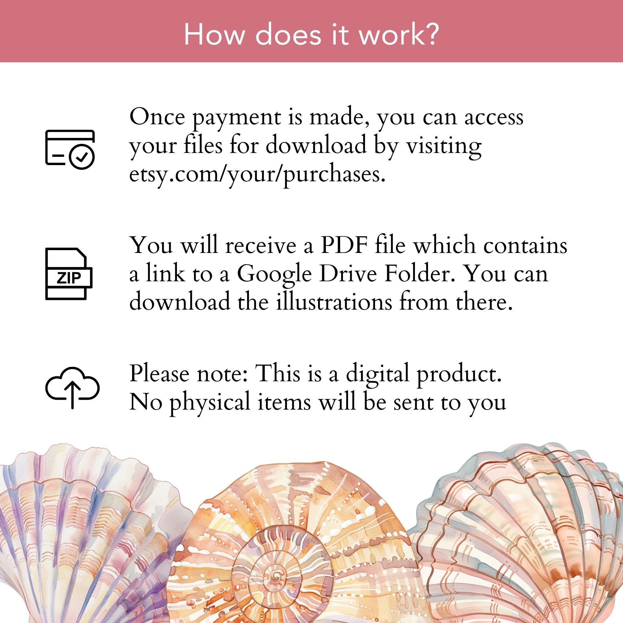 Seashells Clipart, Summer PNG, Summer Beach Clip Art, Sea Shell PNG ...