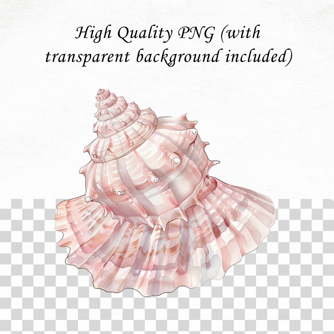 Seashells Clipart, Summer PNG, Summer Beach Clip Art, Sea Shell PNG ...