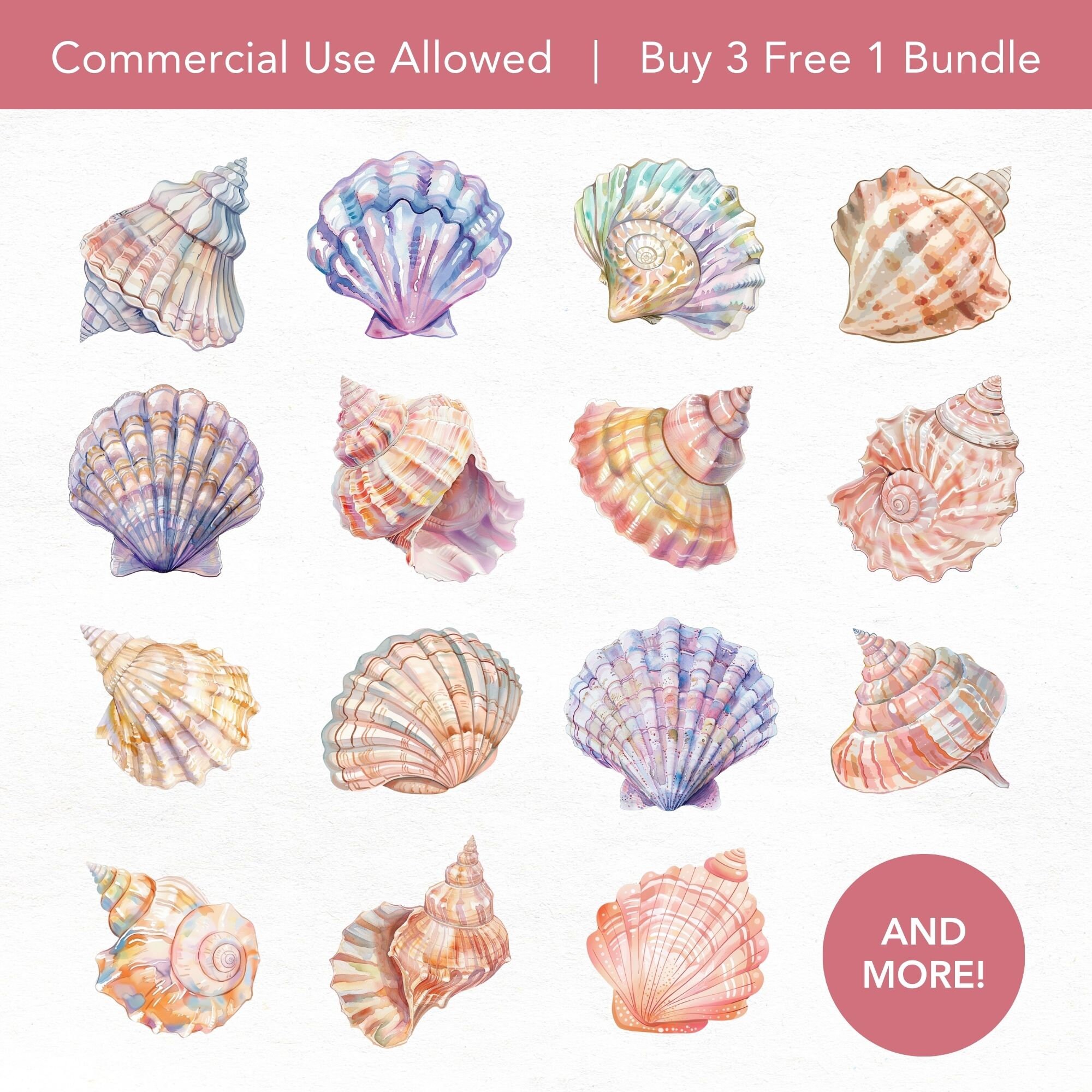 Seashells Clipart, Summer PNG, Summer Beach Clip Art, Sea Shell PNG ...