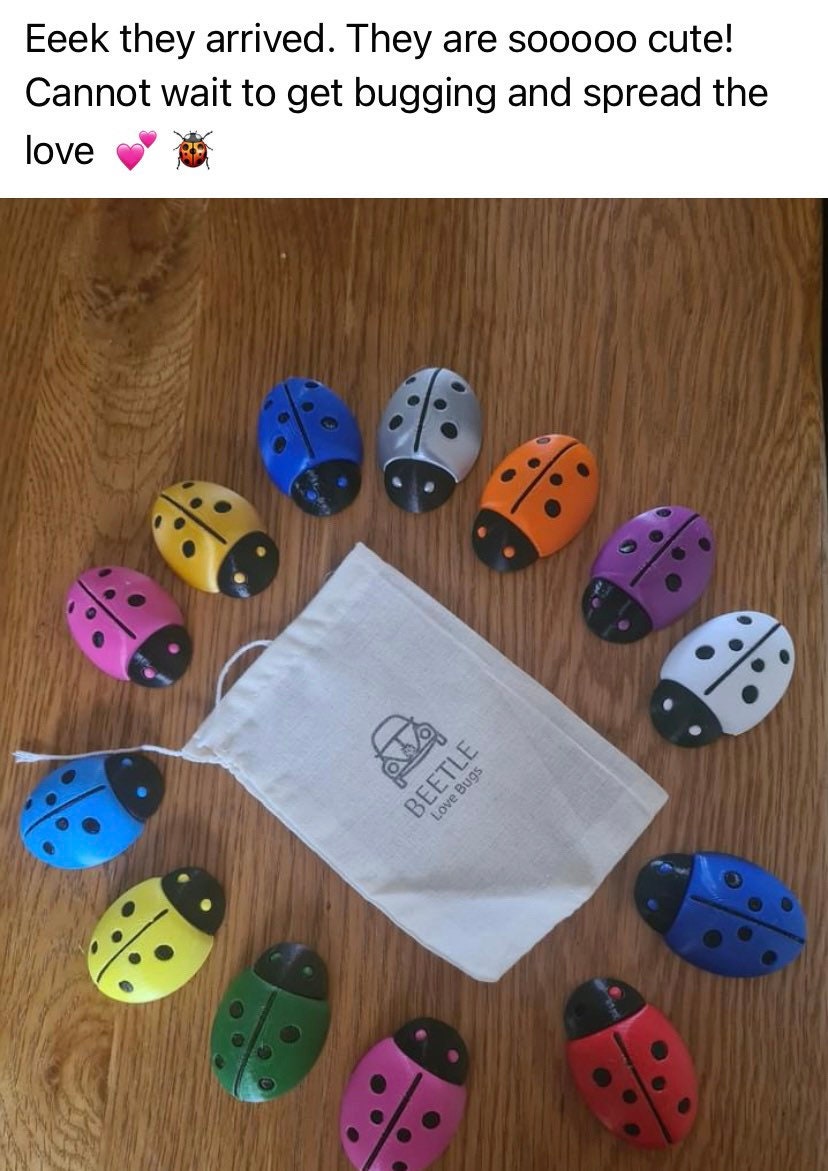 25 X VW Beetle Love Bugs UK (22+3 FREE Love Bugs & Gift Bag) Ladybug ...