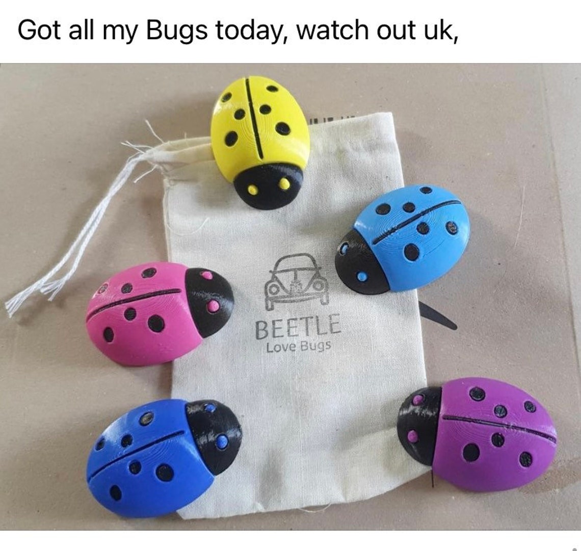 25 X VW Beetle Love Bugs UK (22+3 FREE Love Bugs & Gift Bag) Ladybug ...