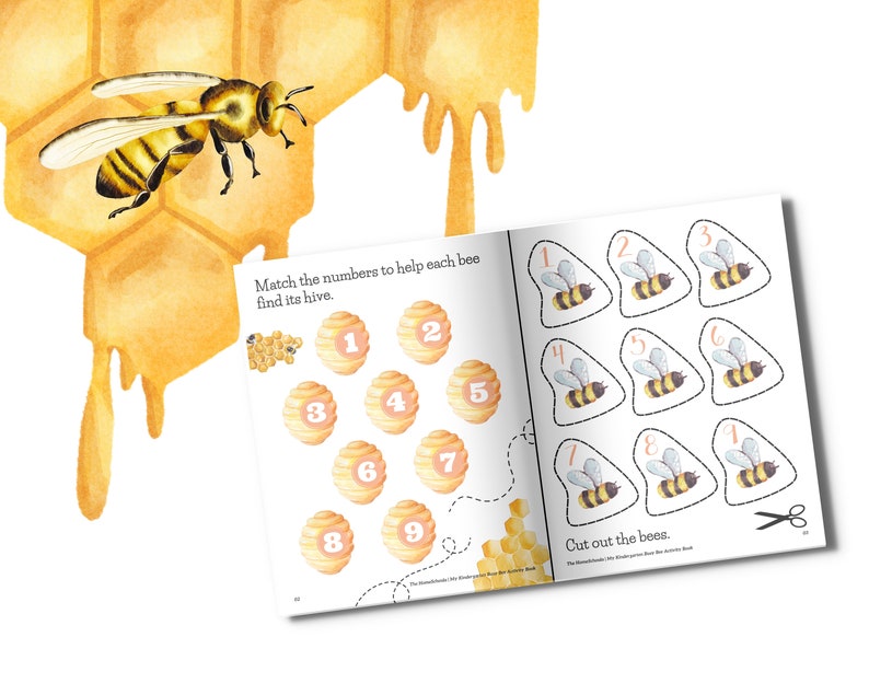 Elementary School Worksheets, Kindergarten Homeschool, Bee Themed ...