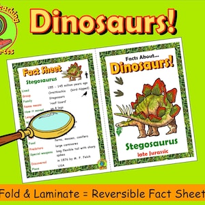 Dinosaurs Fact Sheets Visual Aid Posters, Dinosaurs Teaching Resources ...