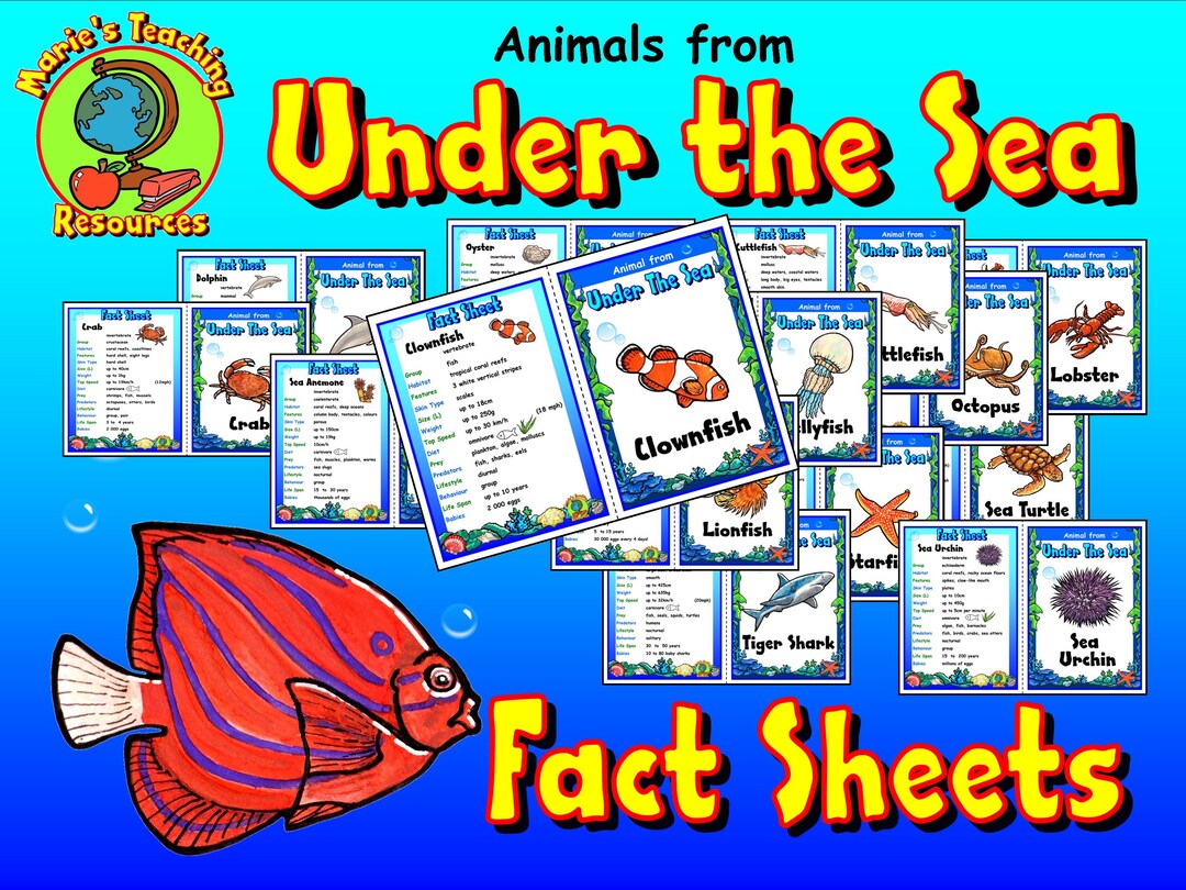 Under the Sea Fact Sheets, Ocean Sea Animals Visual Aid Posters, Ocean ...