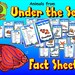 Ocean Sea Animals Fact Sheets, Science Animal Classification Teaching ...
