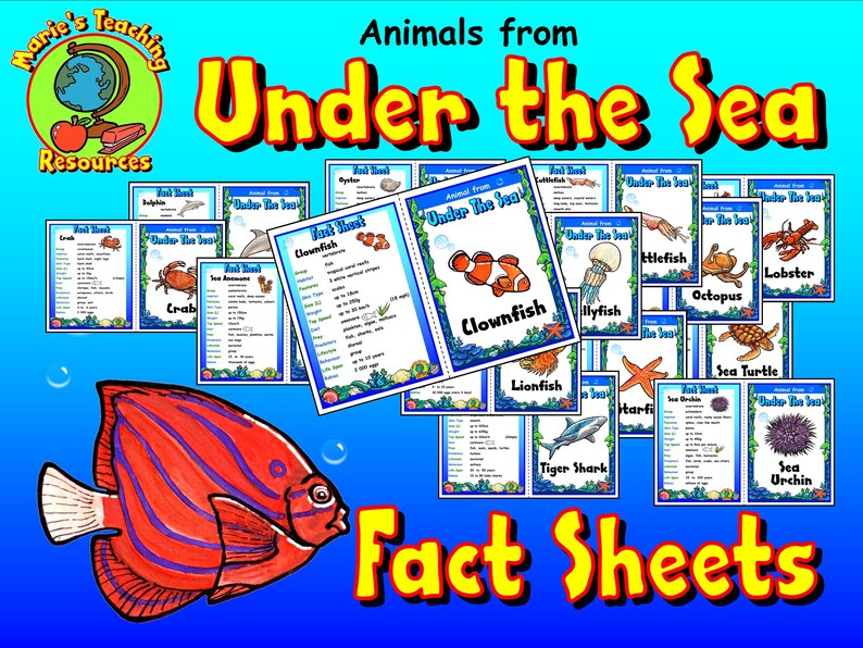 Under the Sea Fact Sheets, Ocean Sea Animals Visual Aid Posters, Ocean ...