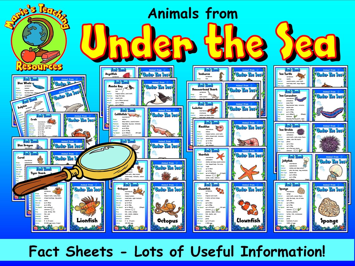 Under the Sea Fact Sheets, Ocean Sea Animals Visual Aid Posters, Ocean ...