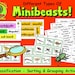 Minibeasts Insects Sorting Activity, Worksheets, Science Animals ...
